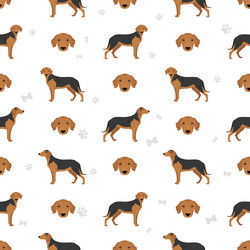Trigg hound seamless pattern all coat colors set Vector Image