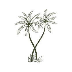 Palm tropical tree hand drawn sketch Royalty Free Vector