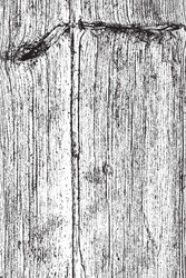 Weathered Wood Vector Images (over 13,000)