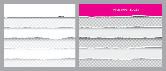 Ripped colored paper strips realistic crumpled Vector Image