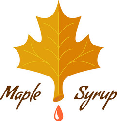 Red maple leaf Royalty Free Vector Image - VectorStock