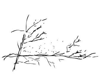 Simple hand draw sketch of torn paper Royalty Free Vector