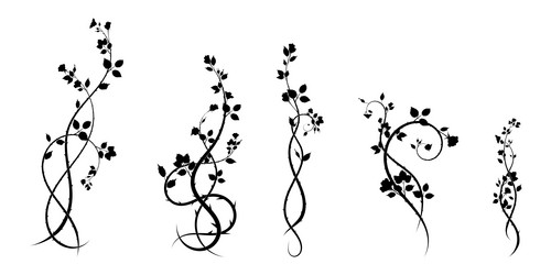 Fancy Underline Vector Images (over 100)