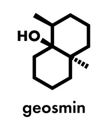Geosmin earthy flavor molecule responsible Vector Image
