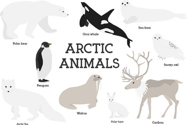 Arctic Vector Images (over 31,000)