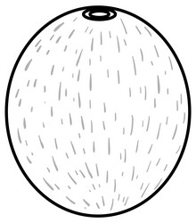 Kiwi Outline Vector Images (over 2,700)