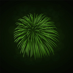 Beautiful green firework bright isolated Vector Image