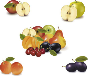 Group with different fruits Royalty Free Vector Image