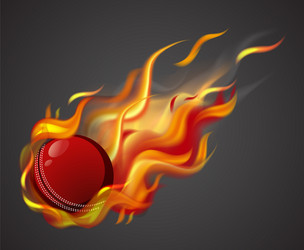 Fire Cricket Ball Vector Images (over 150)