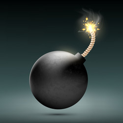Black sphere bomb burning fuse Royalty Free Vector Image