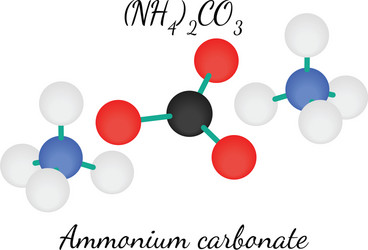 Nh2coonh4 ammonium carbamate molecule Royalty Free Vector