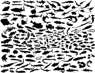 Fish Vector Images (over 430,000)
