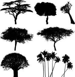 Exotic Vector Images (over 430,000)