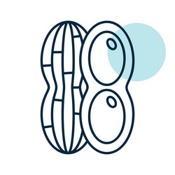 Peanut isolated design icon vegetable sign Vector Image