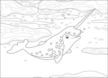 Narwhal Outline Vector Images (over 290)