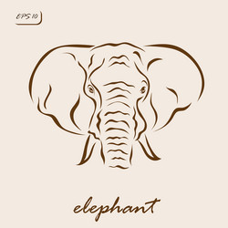 Elephant Head Front Vector Images (over 190)