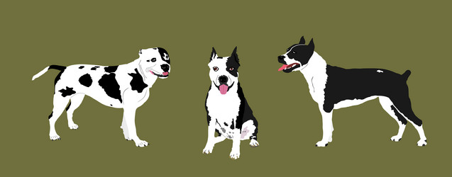 Fighters terrier dog breed collection Royalty Free Vector