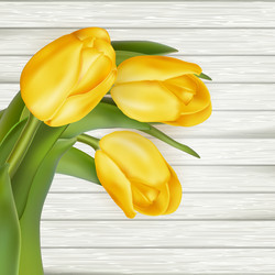 Spring background with tulips eps 10 Royalty Free Vector