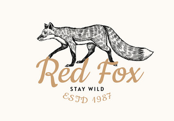 Red fox badges set forest ginger wild animal Vector Image