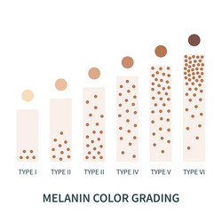 Melanin biology and skin tone pigmentation diagram