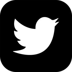 Twitter bird logo realistic social media icon Vector Image
