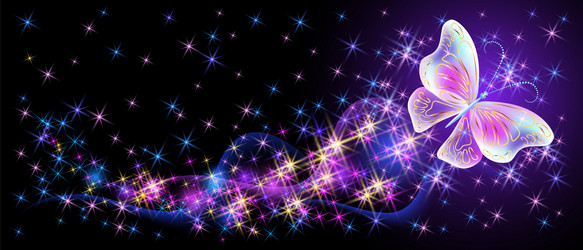 Butterfly Sparkle Vector Images (over 610)