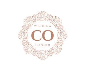 Co initials letter wedding monogram logos Vector Image