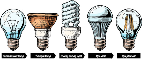 Evolution set light bulb Royalty Free Vector Image