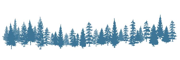 Night winter background with pine trees Royalty Free Vector