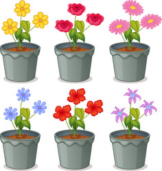 Isolated set flowers Royalty Free Vector Image