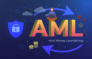 Anti money laundering aml cash coin credit Vector Image