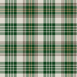 Elegant pastel green and beige plaid pattern Vector Image