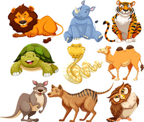 Set of wild animals Royalty Free Vector Image - VectorStock