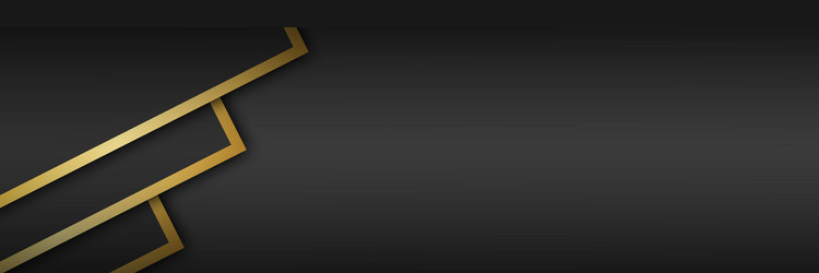 Black and gold modern overlap paper layers Vector Image