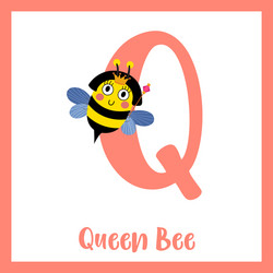 Letter q tracing quail queen bee quetzal quokka Vector Image