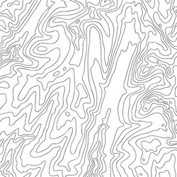 Topographic map white line on black Royalty Free Vector