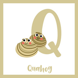 Letter Q Flash Card Vector Images (87)