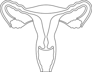 Reproductive Vector Images (over 19,000)