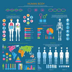 Human body systems Royalty Free Vector Image - VectorStock