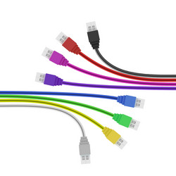 Usb cable plugs isolated on white background Vector Image