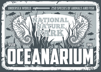 Oceanarium park poster vintage colorful Royalty Free Vector