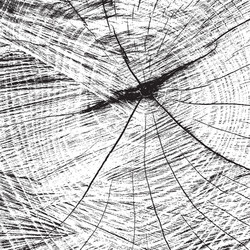 Sawed wood texture Royalty Free Vector Image - VectorStock