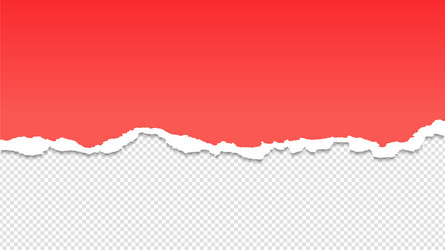 Torn a half sheet of white paper from the bottom Vector Image