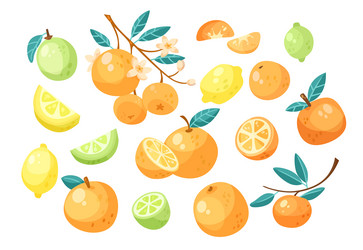 Citrus Vector Images (over 88,000)