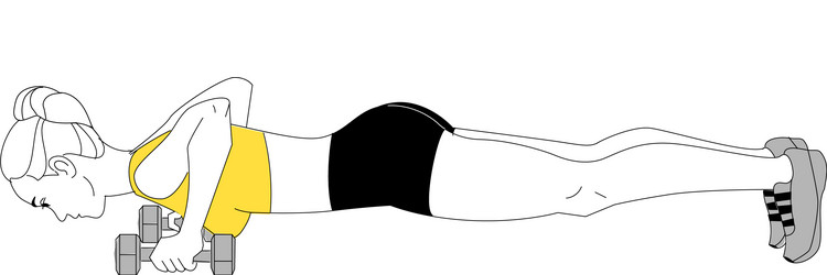 Girl is doing sports exercises bench press Vector Image