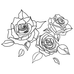Rose Line Art Vector Images (over 26,000)