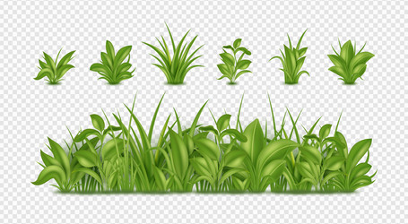 Transparent Weed Vector Images (over 1,100)