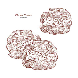Delicious cream puff cakes with hand draw Vector Image