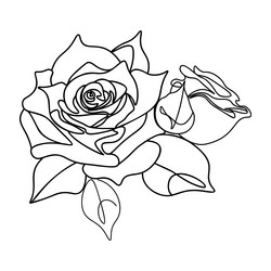 Line art rose flowers Royalty Free Vector Image