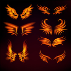 Bird fire wings fantasy feather burning fly Vector Image